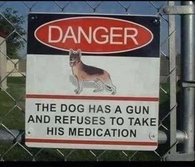 DANGER THE DOG HAS A GUN I AND REFUSES TO TAKE HIS MEDICATION - iFunny