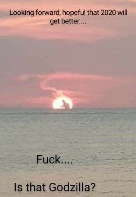 Looking forward, hopeful that 2020 will Is that Godzilla? - iFunny