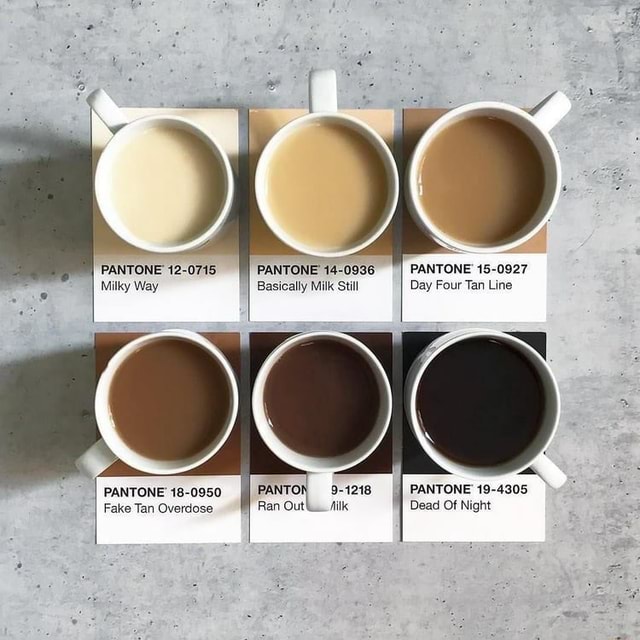 PANTONE 12-0715, Milky Way PANTONE 14-0936 PANTONE 15-0927 Basically ...