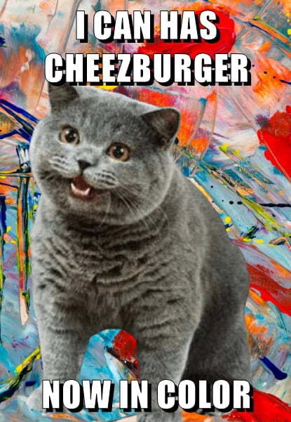 CAN HAS CHEEZBURGER NOW IN COLOR - iFunny