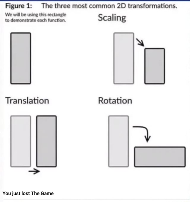 Figure 1: The three most common transformations. We will be using this rectangle Scaling ...