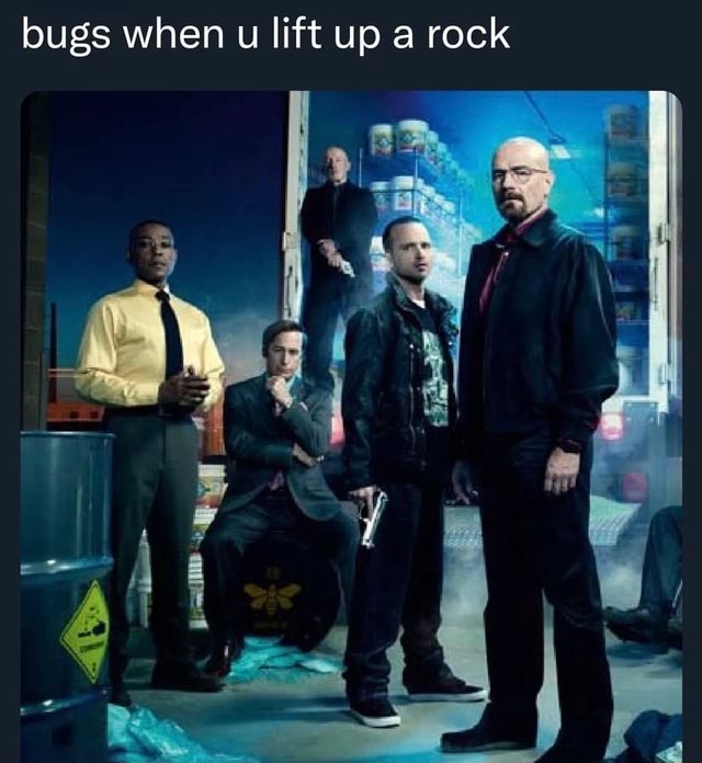 Bugs when u lift up a rock - iFunny