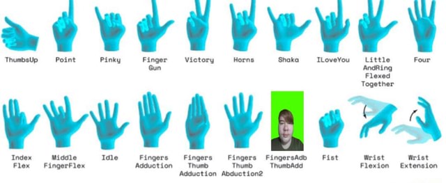 ThumbsUp Point Pinky Finger Victory Horns Shaka TLoveYou Little AndRing ...