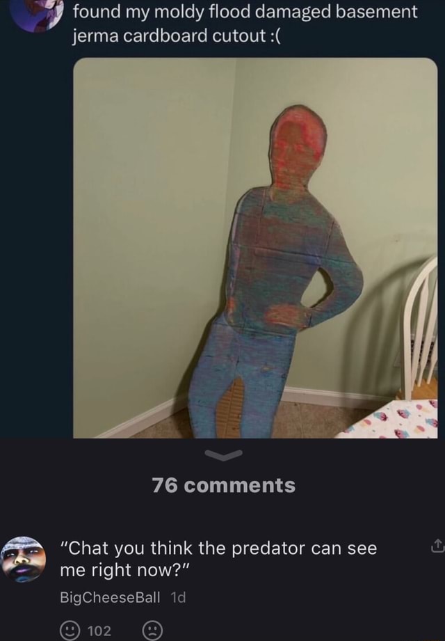 Found my moldy flood damaged basement jerma cardboard cutout 76 ...