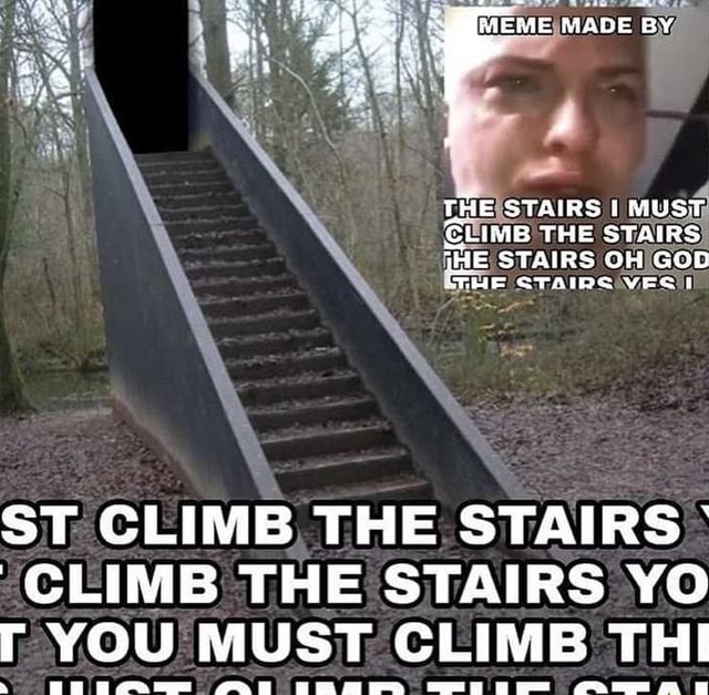 MEME MADE BY TAE STAIRS I MUST LIMB THE STAIRS STAIRS GH GOD Fue araea ...