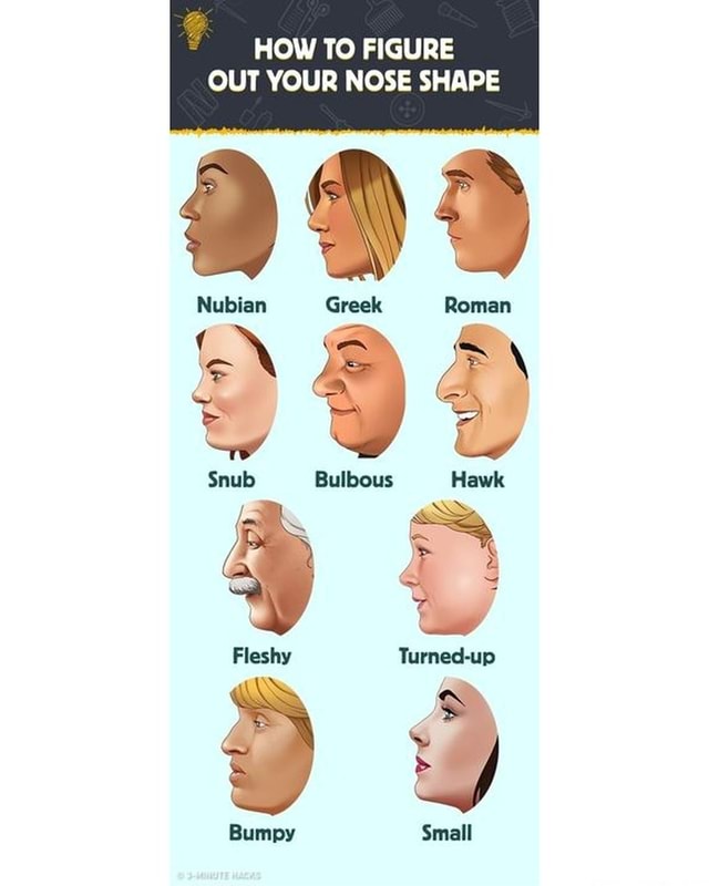 HOW TO FIGURE OUT YOUR NOSE SHAPE Nubian Greek Roman Snub Bulbous Hawk ...
