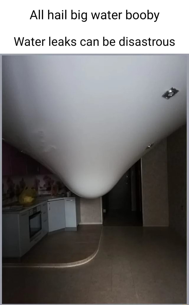 All hail big water booby Water leaks can be disastrous - iFunny