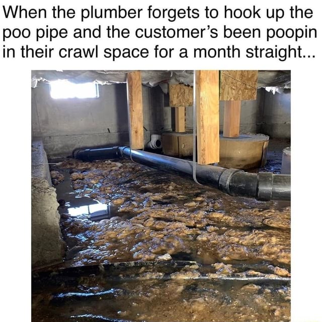 When the plumber forgets to hook up the poo pipe and the customer's ...