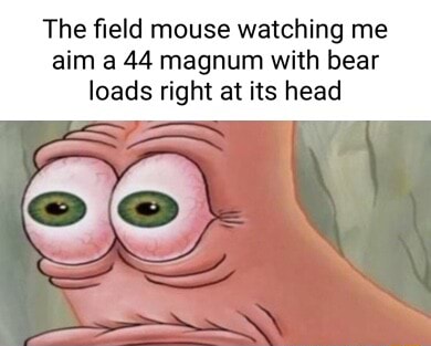 The field mouse watching me aim a 44 magnum with bear loads right at ...