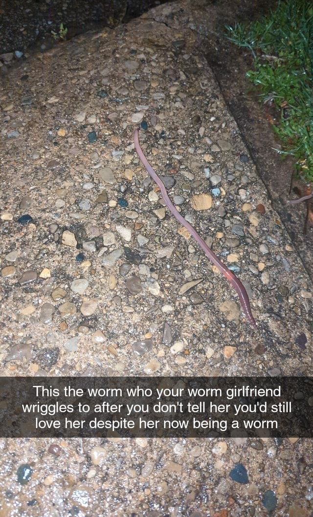 This the worm who your worm girlfriend wriggles to after you don't tell ...