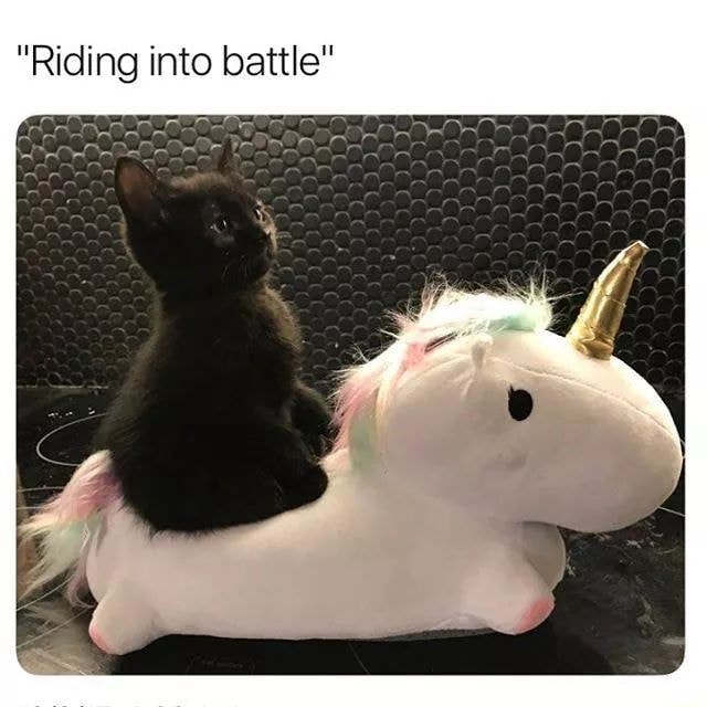"Riding into battle" - iFunny Brazil