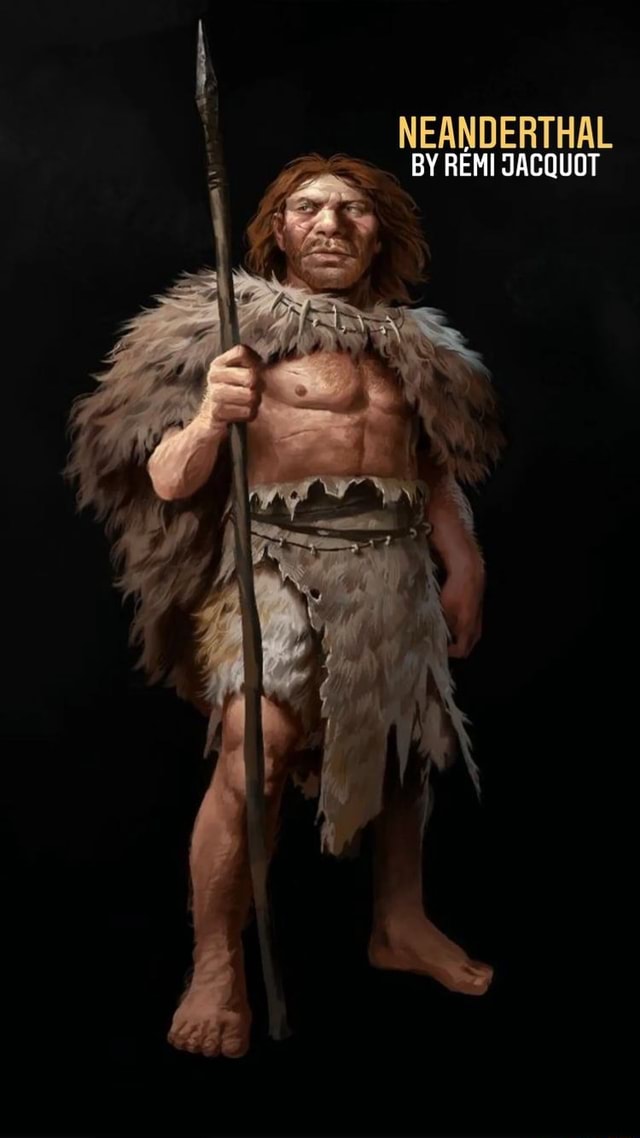 NEANDERTHAL BY REMI JACQUOT - iFunny