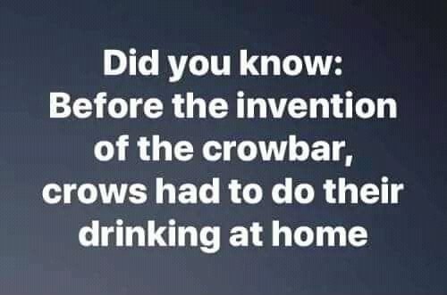 Did you know: Before the invention of the crowbar, crows had to do ...