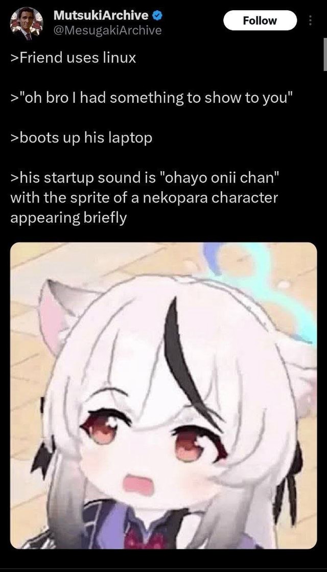 MutsukiArchive @MesugakiArchive >Friend uses linux >"oh bro I had something to show to you ...
