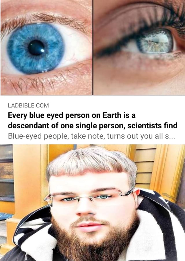 Joeyy the progenitor of all whites - LADBIBLE COM Every blue eyed ...