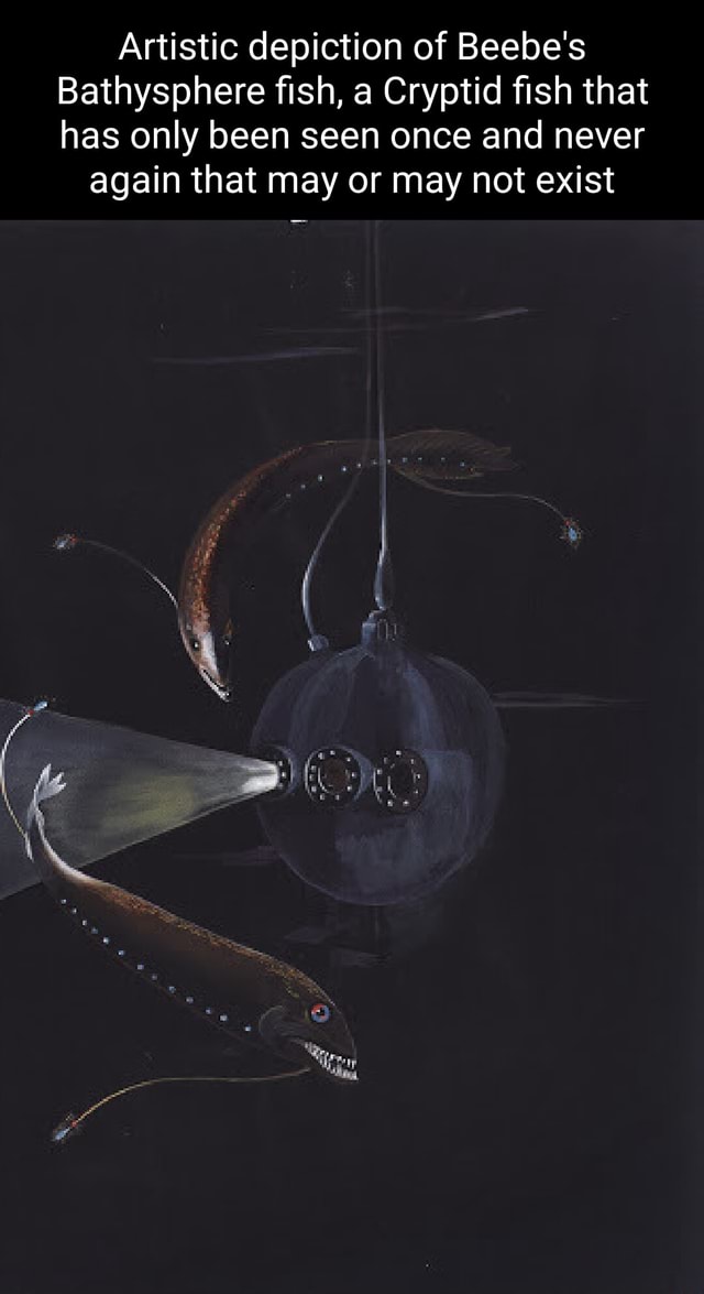 Artistic depiction of Beebe's Bathysphere fish, a Cryptid fish that has ...