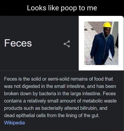 Looks like poop to me Feces