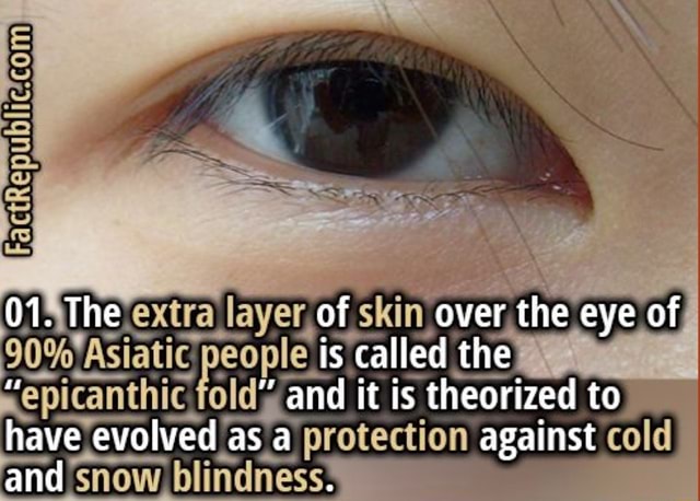 01. The extra layer of skin over the eye of 0% Asiatic people is called ...