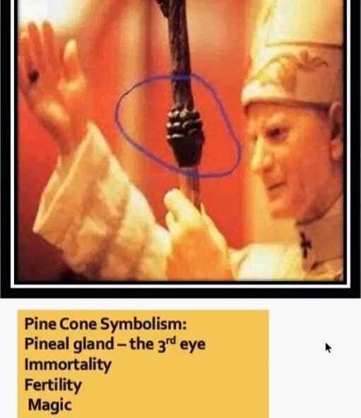 Pine Cone Symbolism: Pineal gland the 3" eye Immortality Fertility ...
