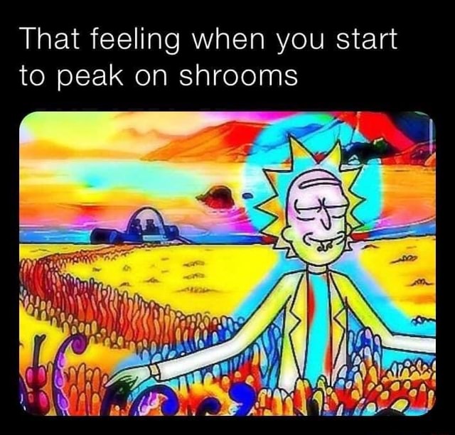 That feeling when you start to peak on shrooms - iFunny