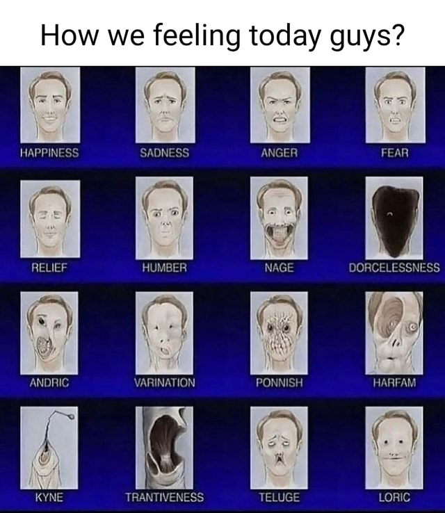 HAPPINESS RELIEF SADNESS VARINATION TRANTIVENESS ANGER HUMBER NAGE PONN ...