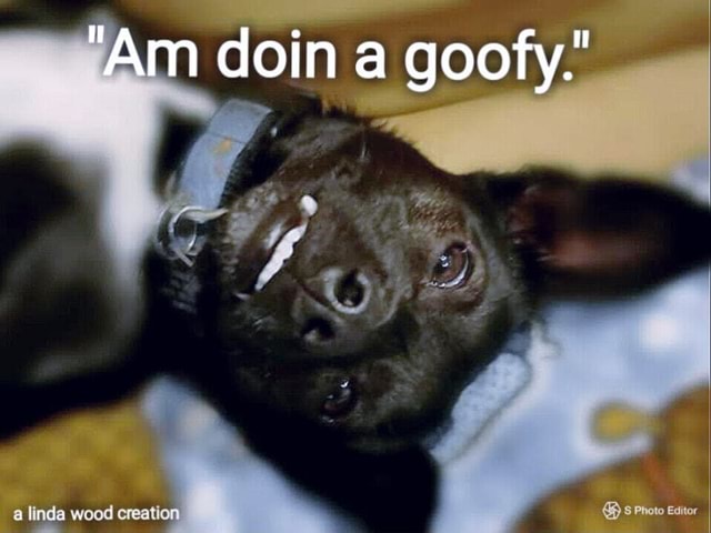 'Am doin a goofy." - America’s best pics and videos