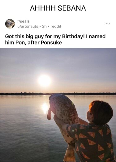 SEBANA Got this big guy for my Birthday! I named him Pon, after Ponsuke - iFunny