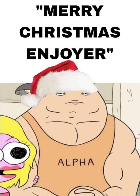 "MERRY CHRISTMAS ENJOYER" - iFunny