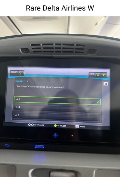 Rare Delta Airlines W - iFunny