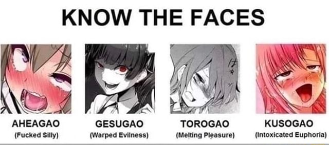KNOW THE FACES ON \ SON) TOROGAO KUSOGAO AHEAGAO GESUGAO (Fucked Silly ...