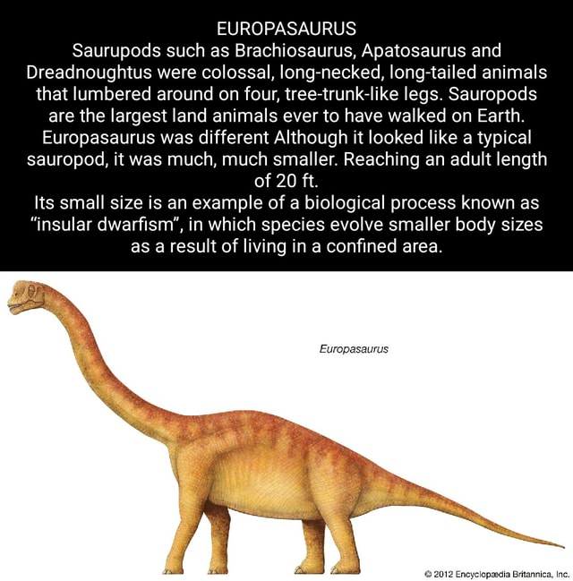 EUROPASAURUS Saurupods such as Brachiosaurus, Apatosaurus and ...