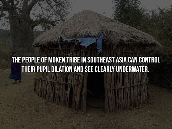 THE PEOPLE OF MOKEN TRIBE IN SOUTHEAST ASIA CAN CONTROL THEIR PUPIL ...