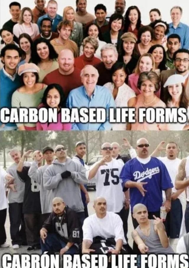 CARBON BASED LIFE FORMS CPARRON BASED LIFE FORMS - iFunny