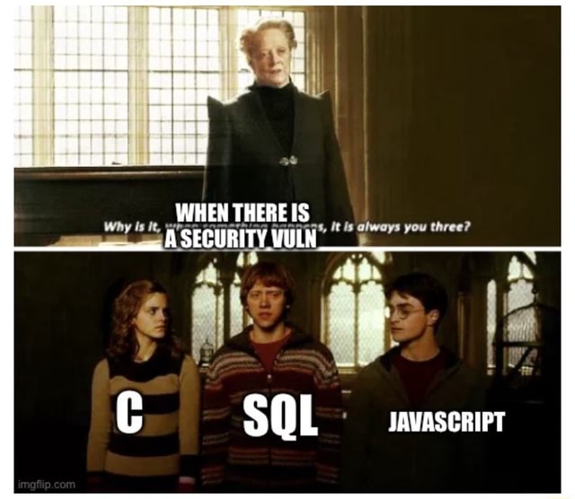 WHEN THEREIS A SECURITY VULN you three? JAVASCRIPT SOL - iFunny Brazil