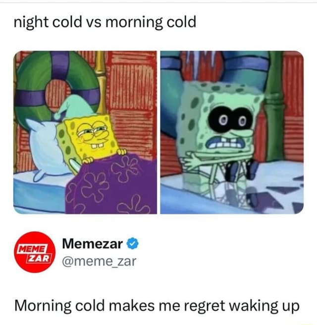 Night cold vs morning cold ZAR Memezar @ @meme zar Morning cold makes ...