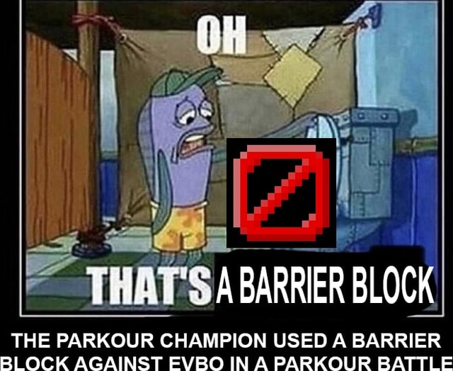 HAT'S BARRIER BLOCK THE PARKOUR CHAMPION USED A BARRIER BLOCK AGAINST ...