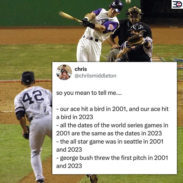 Schriismiddleton so you mean to tell me.... - our ace hit a bird in ...