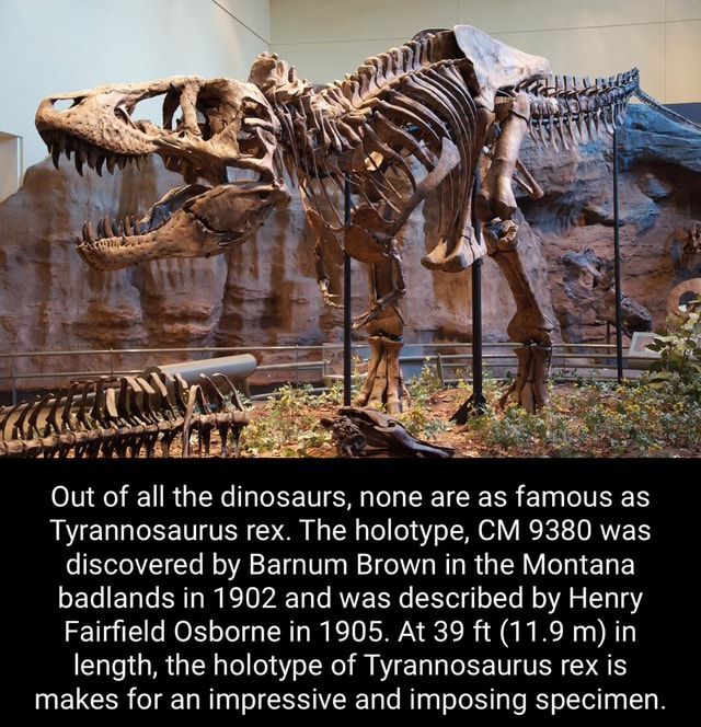 ELESS AS Out of all the dinosaurs, none are as famous as Tyrannosaurus ...