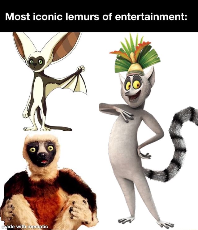 Most iconic lemurs of entertainment: made with mematic - iFunny