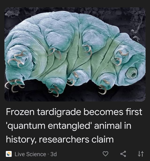 Frozen tardigrade becomes first 'quantum entangled' animal in history ...