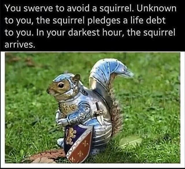 You swerve to avoid a squirrel. Unknown to you, the squirrel pledges a ...