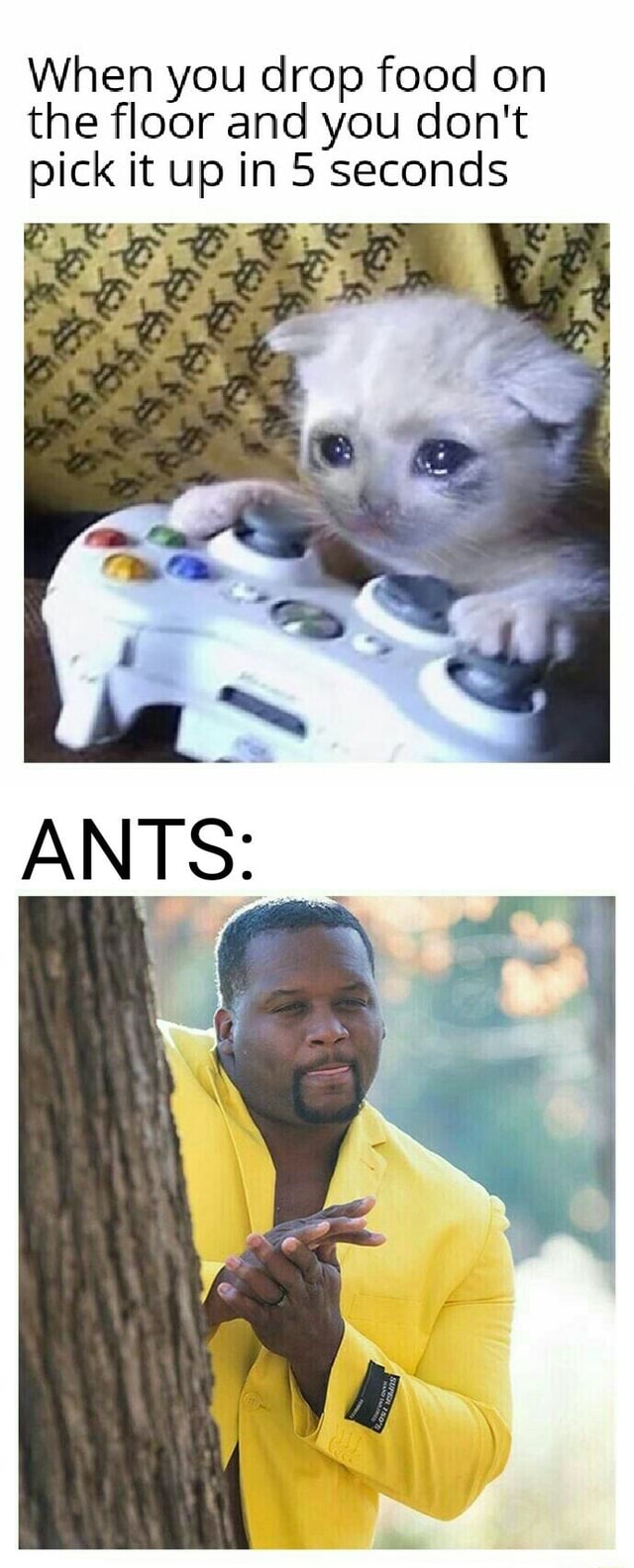 When you drop food on the floor and you don't pick it up in 5 seconds ...