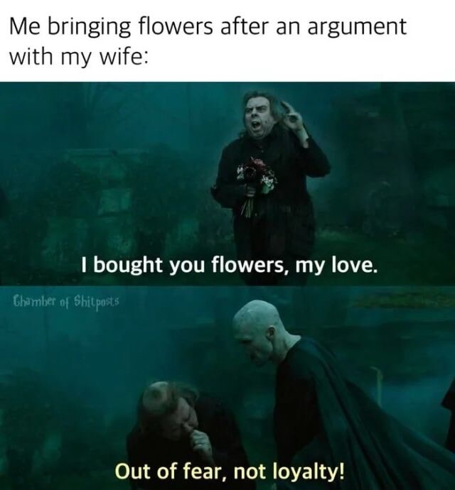 Me bringing flowers after an argument with my wife: I bought you ...