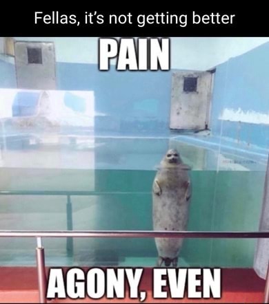 Fellas, it's not getting better PAIN AGONY, EVEN - iFunny