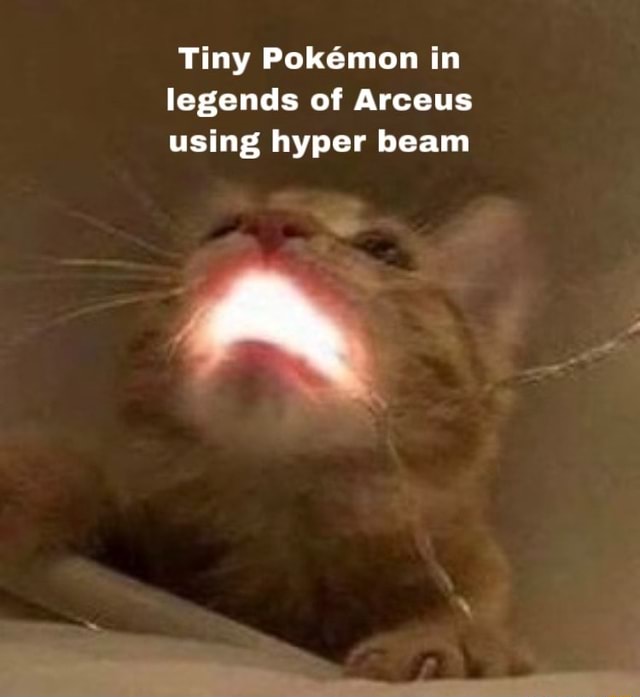 Tiny Pokemon in legends of Arceus using hyper beam - iFunny