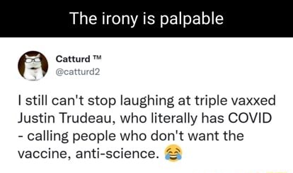 The irony is palpable Catturd still can't stop laughing at triple ...