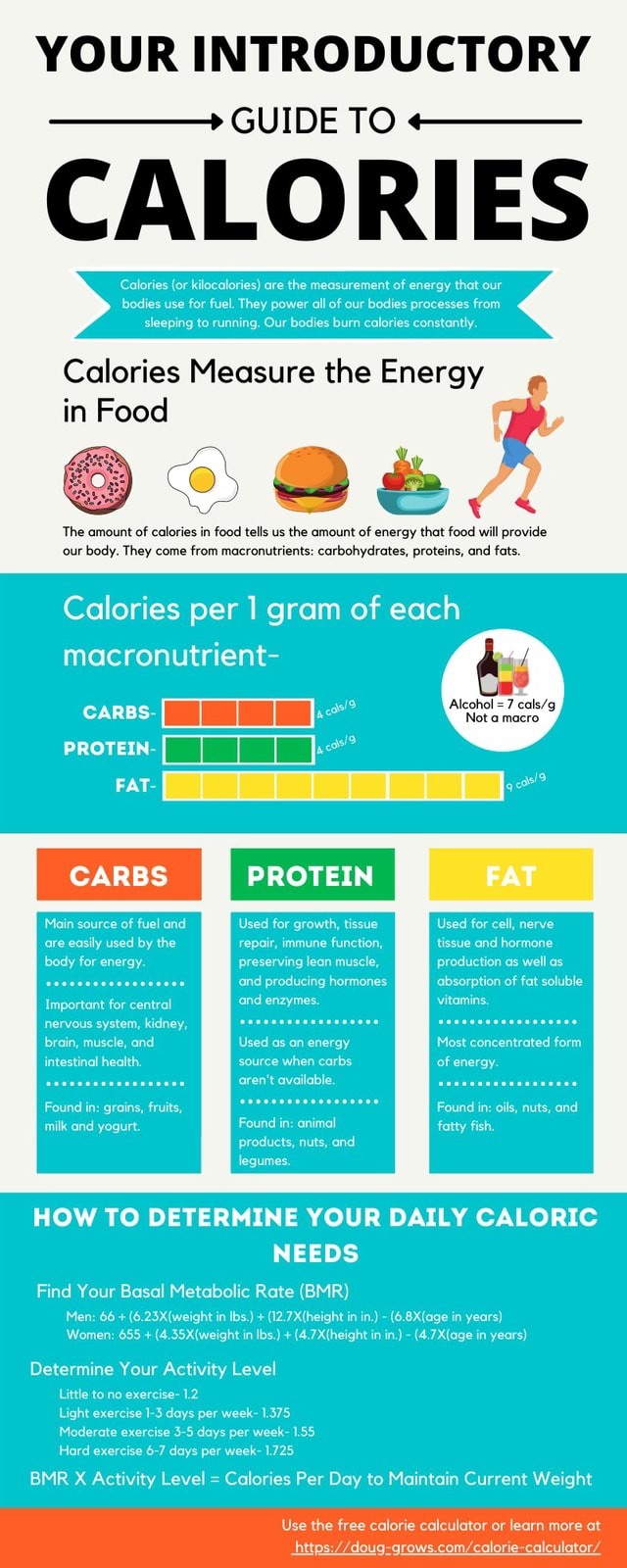 Introductory Guide to Calories Infographic - YOUR INTRODUCTORY GUIDE TO ...
