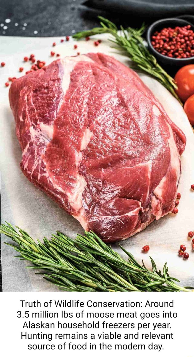 Truth of Wildlife Conservation: Around 3.5 million lbs of moose meat ...