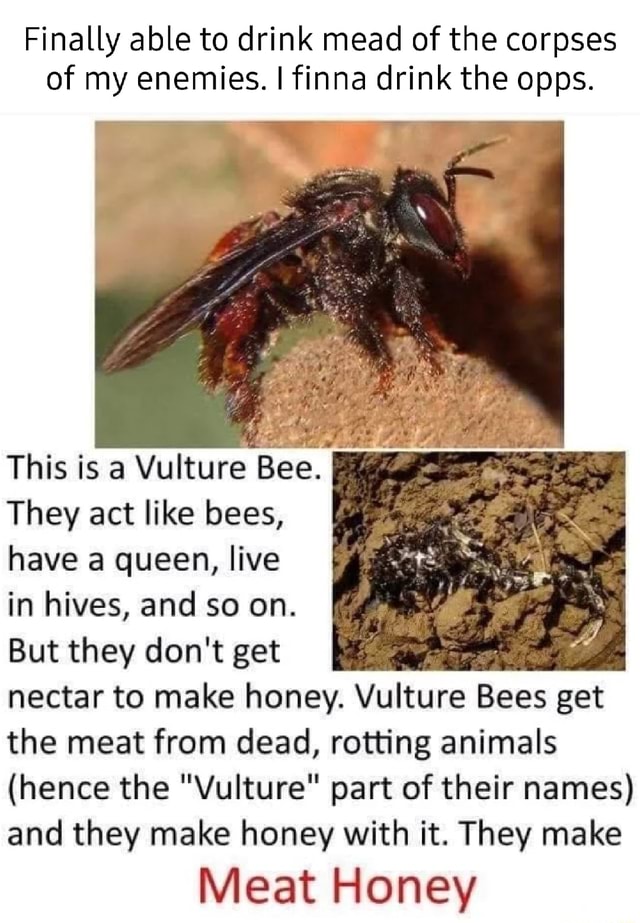 Finally able to drink mead of the corpses of my enemies. I finna drink ...