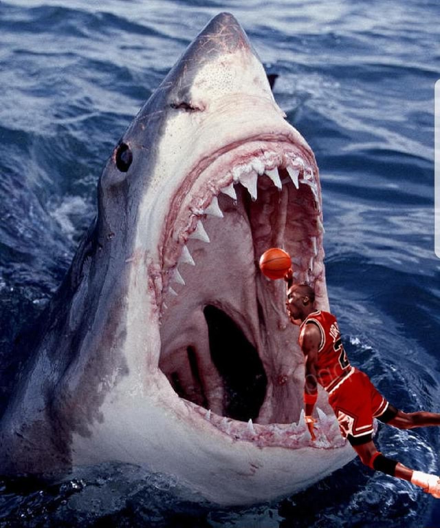 Jordan Strikes Again - iFunny